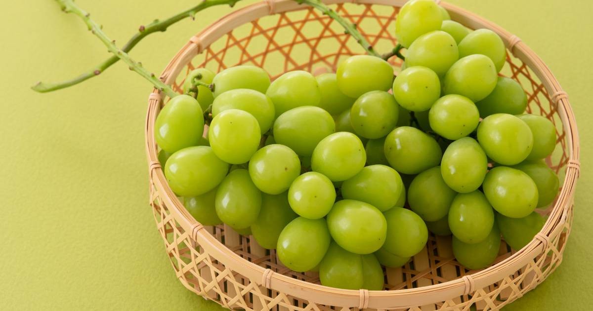 Thưởng thức hương vị nho mẫu đơn Shine Muscat Hàn Quốc